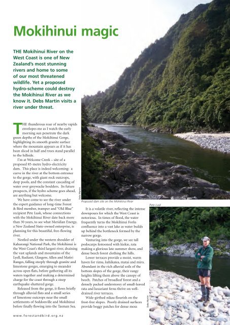 Mokihinui magic - Forest and Bird