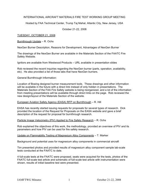 Minutes - Fire Safety Branch - FAA