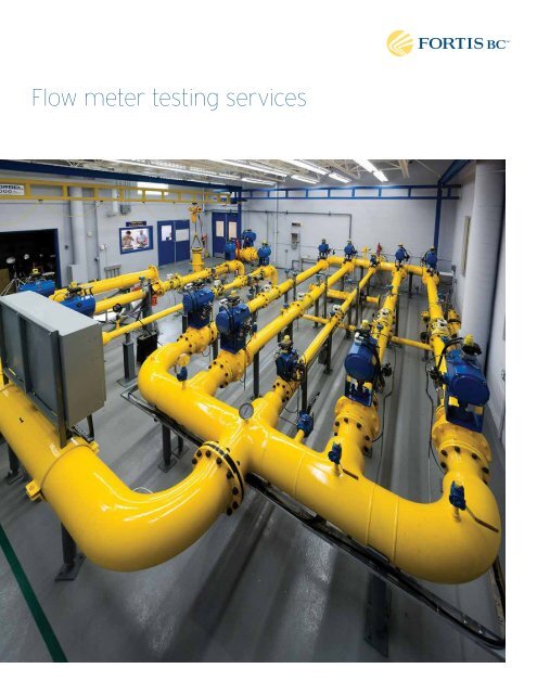 Flow meter testing brochure - FortisBC