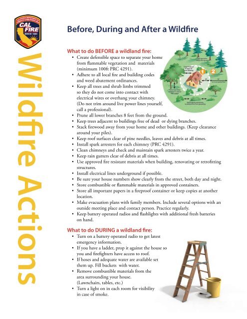 Before, During and After a Wildfire