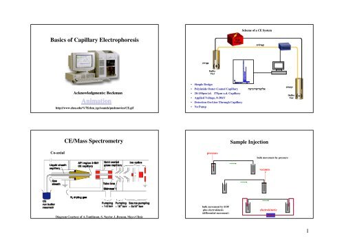Capillary electrophoresis CE