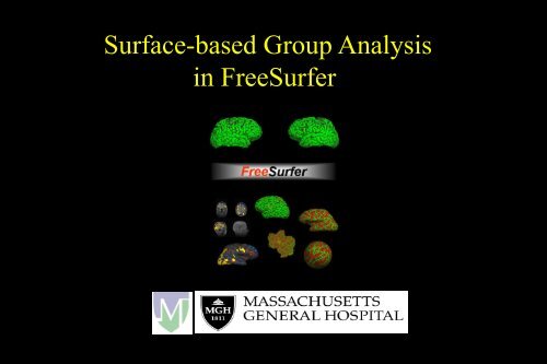 Surface-based Group Analysis - FMRIB