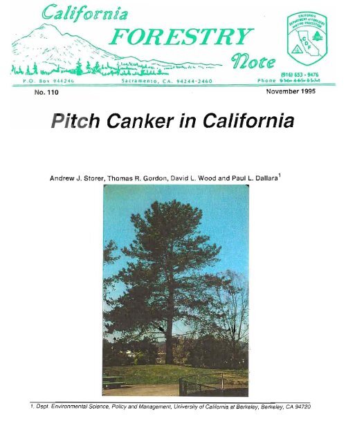 Pitch canker in California - Demostration State Forests