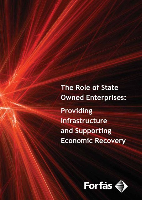 The Role of State Owned Enterprises - Department of Public ...