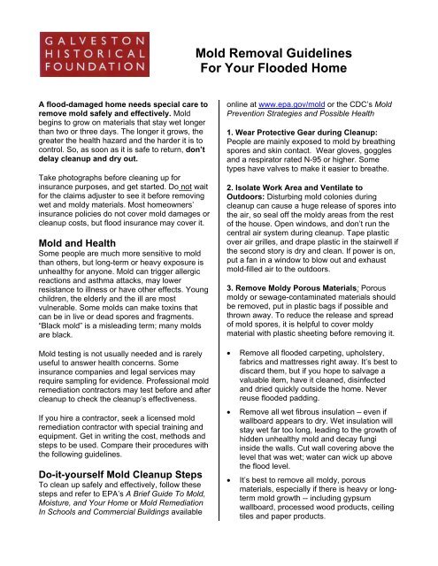 Mold Removal Guidelines For Your Flooded Home