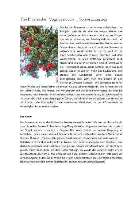 Die Eberesche - Vogelbeerbaum – Sorbus aucuparia