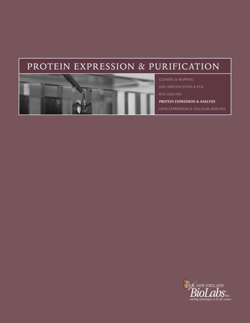 protein expression & purification - New England Biolabs Canada
