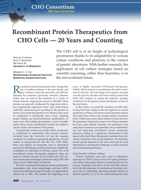Recombinant Protein Therapeutics from CHO Cells — 20 Years and ...