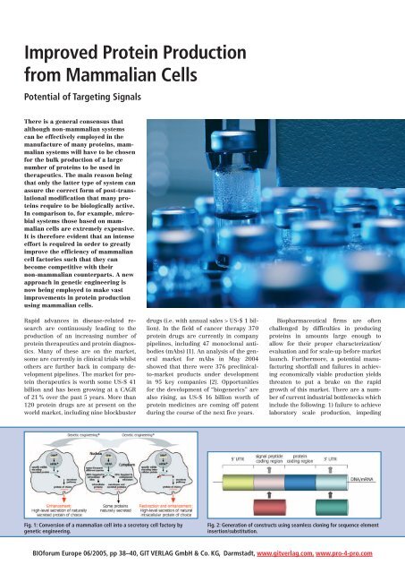 Improved Protein Production from Mammalian Cells