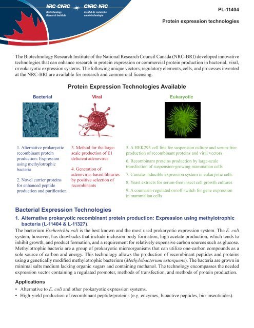 Protein Expression Technologies Available Bacterial Expression ...