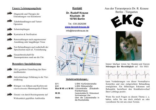 01 EKG Flyer 2.01.1 normaler Sinus-Rhythmus Hund - Tierarzt Dr ...