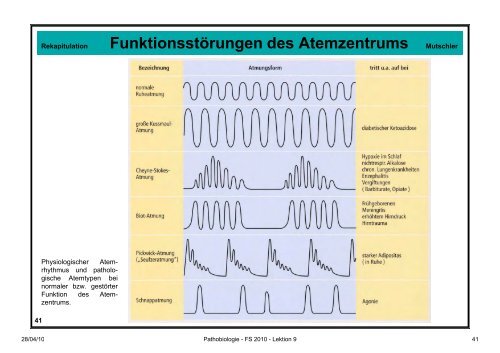 Rekapitulation Ventilatio