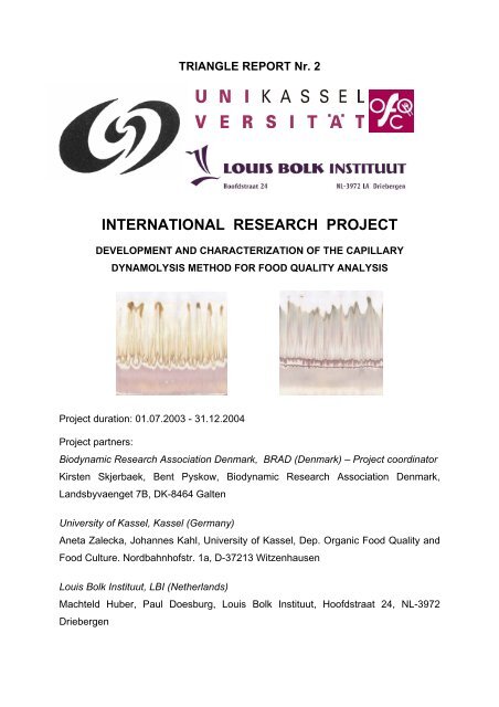 INTERNATIONAL RESEARCH PROJECT - stigbilledforskning.dk