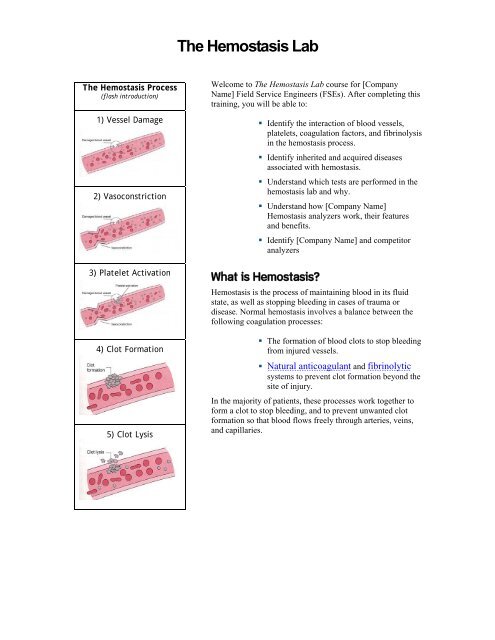 The Hemostasis Lab - Styles & Scribbles