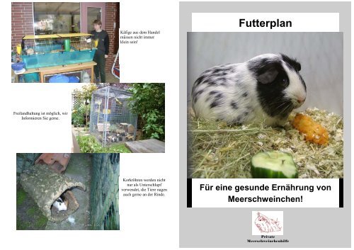Meerschweinchen_Futterplan_3 - Tierheim Bergheim