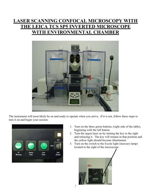 laser scanning confocal microscopy with the leica tcs ... - Research