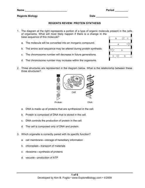 Protein Synthesis Regents Review