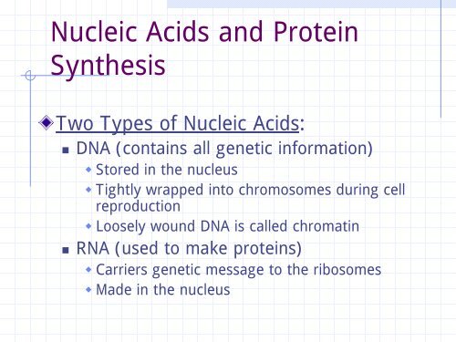 Nucleic Acid and Protein Synthesis