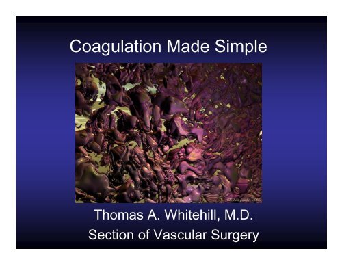 Coagulation Made Simple