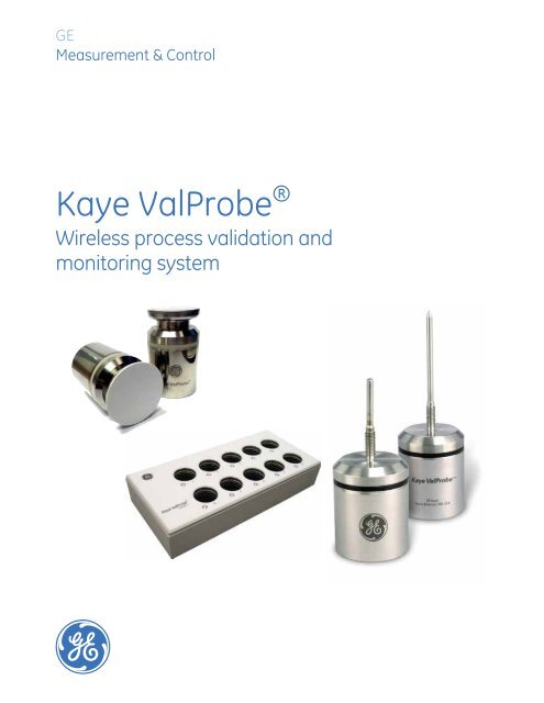 Kaye ValProbe® Wireless process validation and monitoring system