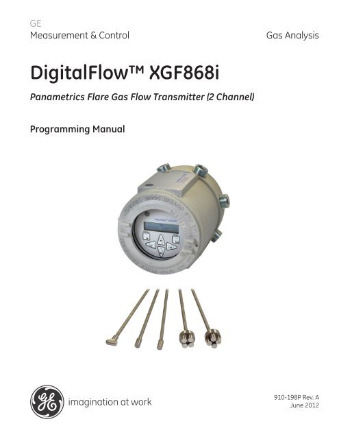 DigitalFlow™ XGF868i - GE Measurement & Control