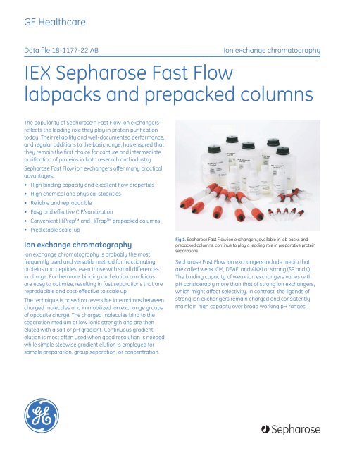 IEX Sepharose Fast Flow labpacks and prepacked columns