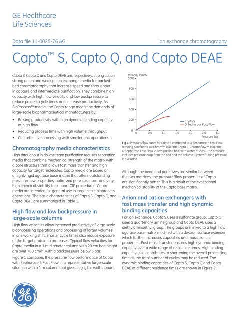 [PDF] Capto Q, S, DEAE Data file