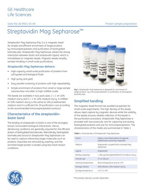 [PDF] Data File - Streptavidin Mag Sepharose