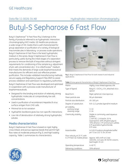 Butyl-S Sepharose 6 Fast Flow