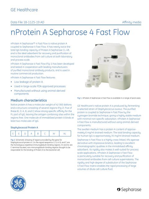 [PDF] nProtein A Sepharose 4 Fast Flowデータファイル