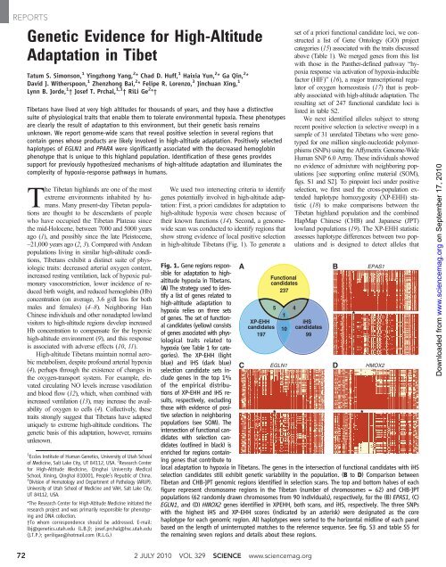 Genetic Evidence for High-Altitude Adaptation in Tibet - ResearchGate