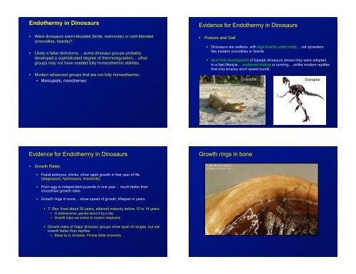 Endothermy in Dinosaurs Evidence for Endothermy in Dinosaurs ...