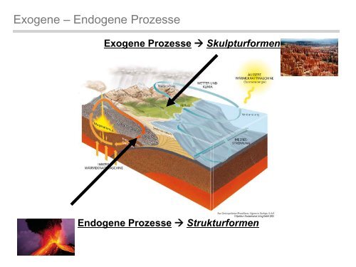 Exogene – Endogene