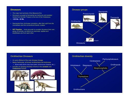 Dinosaurs Dinosaur groups Ornithischian Dinosaurs Ornithischian ...