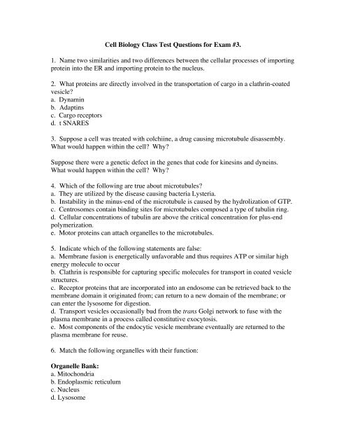 Cell Biology Class Test Questions For Exam 3 1 Name Two cell-biology-class-test-questions-for-exam-3-1-name-two