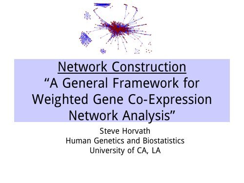 A General Framework for Weighted Gene Co-Expression Network ...