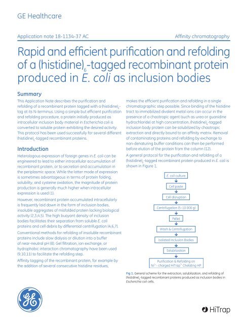 purification des protéines pdf