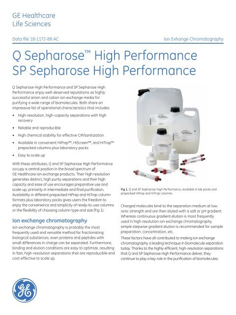 Q Sepharose High Performance SP Sepharose High Performance