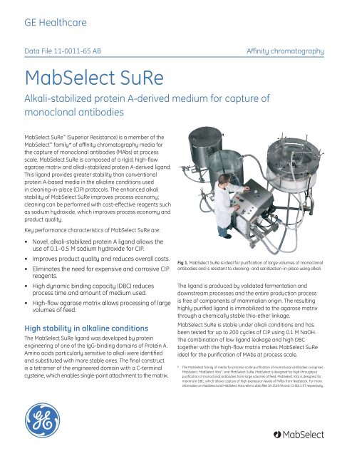[PDF] MabSelect SuReデータファイル