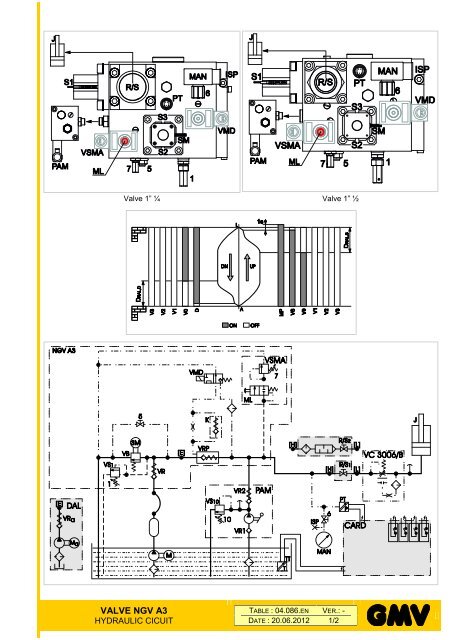 VALVE NGV A3 - G.m.v.