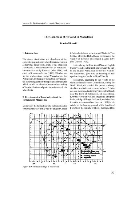 59 The Corncrake (Crex crex) in Macedonia - Corncrake.net