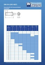 DIN 7981 (ISO 7049) - BV Bohrenfeldt Gmbh