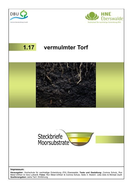 vermulmter Torf 1.17