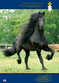 Friesians Magazines