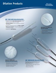 Endovive® - Boston Scientific