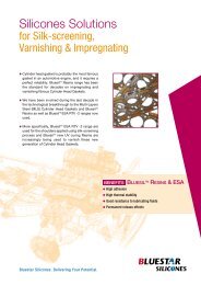 BLUESIL_ HCR_SPECIALTIES_2012.pdf - Bluestar Silicones
