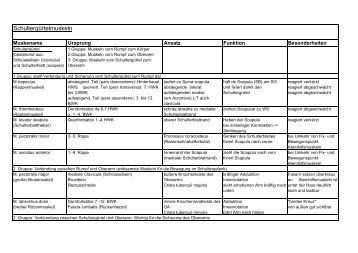 Name des Muskels Ursprung Ansatz Funktion Innervation ...