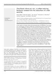 Arthrobacter flavus sp. nov., a psychrophilic bacterium isolated from ...