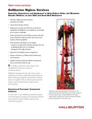DecisionSpace Geology Software - Halliburton