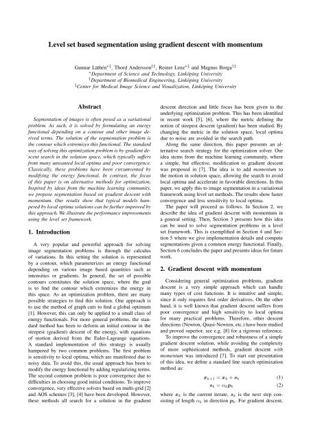 Level set based segmentation using gradient descent with momentum